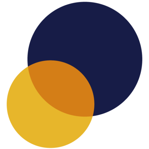 DataGraders | Data Analytics Consulting